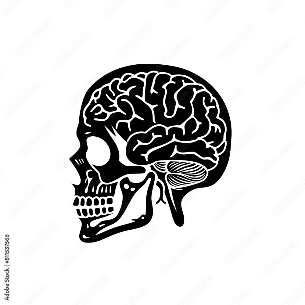 Brain svg, human brain svg, brain png, brain clipart, mental health svg ...