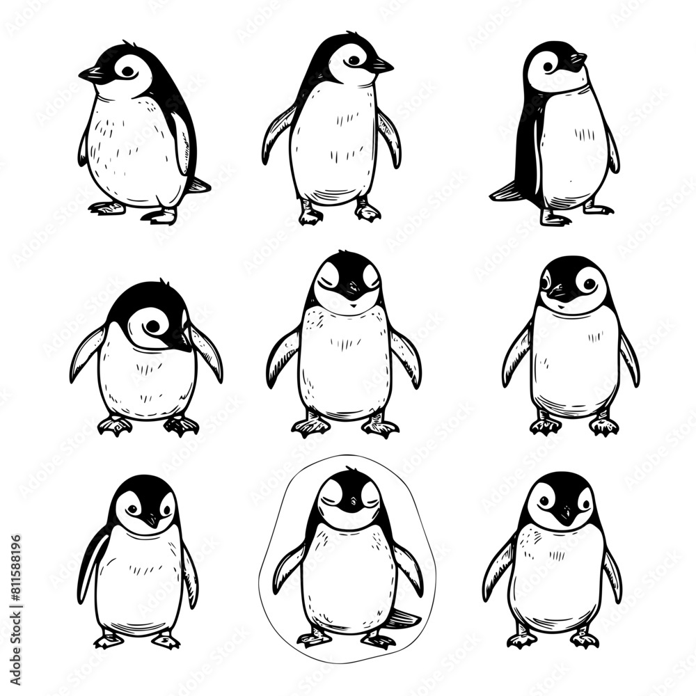 Vecteur Stock Baby Penguin SVG, Penguin Svg, Penguin Clipart, Doodle ...