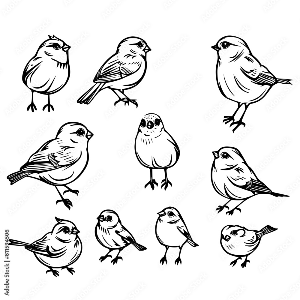 Bird svg, Bird svg bundle, Bird silhouette, Bird cut files, Bird ...