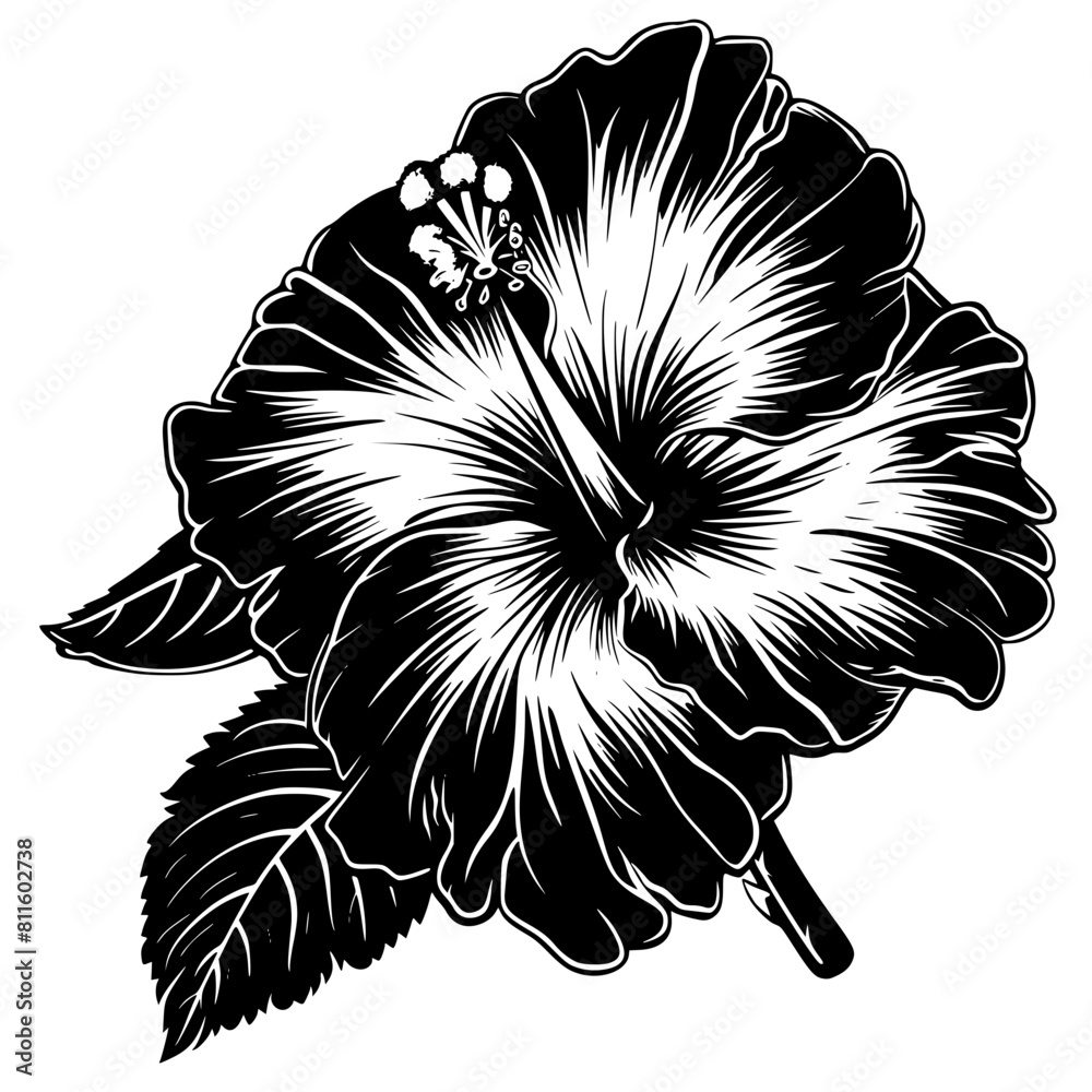 Vetor De Flower Svg Hibiscus Svg Tropical Flower Svg Hawaiian Flower