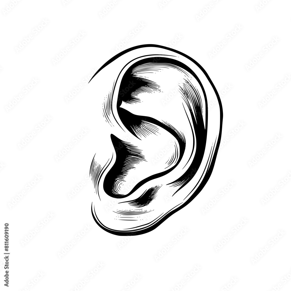 ear silhouette, ear svg, ear png, ear vector, hair, woman, face ...