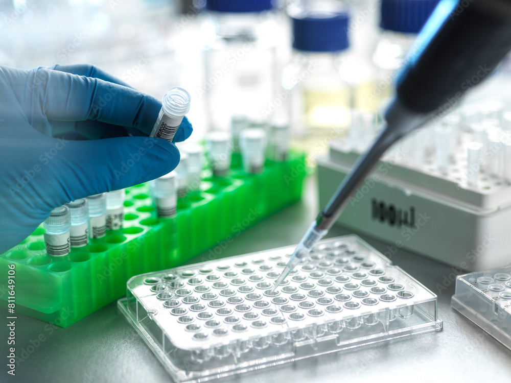 Genomics, Pipetting DNA sample for analysis in lab. Stock Photo | Adobe ...