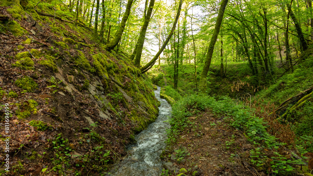 Viaduc des Rochers Noirs et sa promenade Stock Photo | Adobe Stock