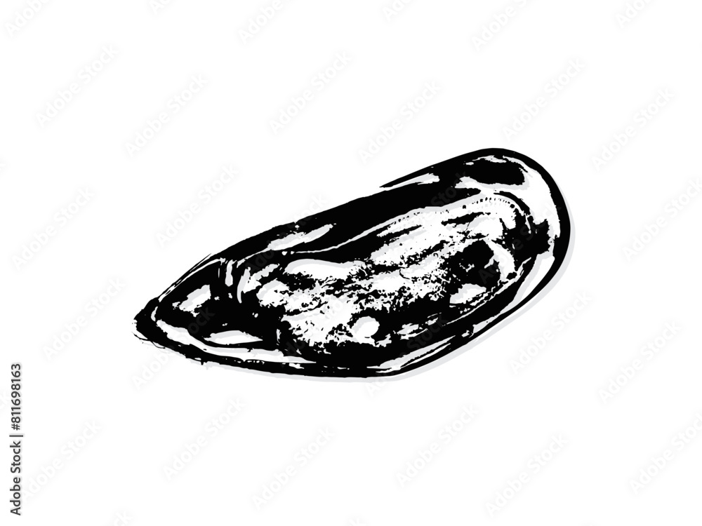 Black and white illustration sketch of a mussel hand drawing vector ...