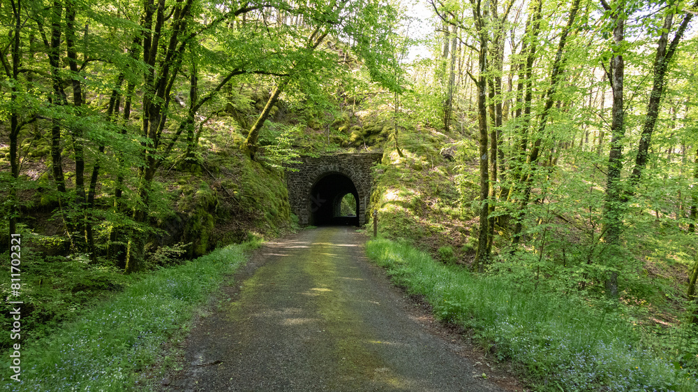 Viaduc des Rochers Noirs et sa promenade Stock Photo | Adobe Stock
