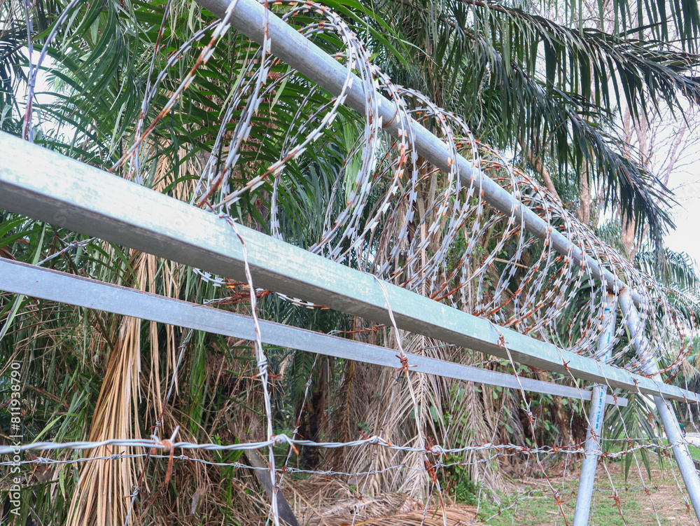 Circular barbed wire fences are often used to delimit areas ...