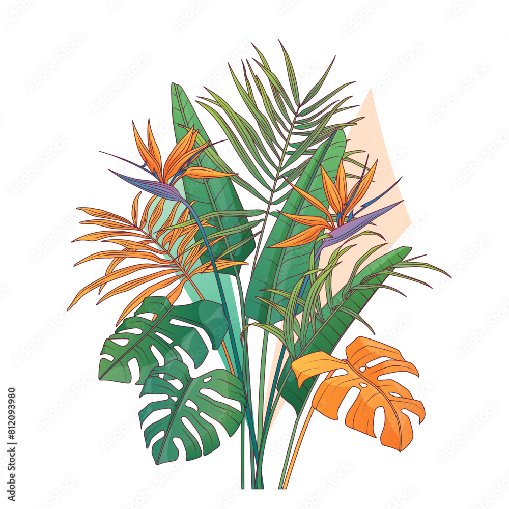 Tropical foliage composition. Vector illustration of leaves of monstera ...