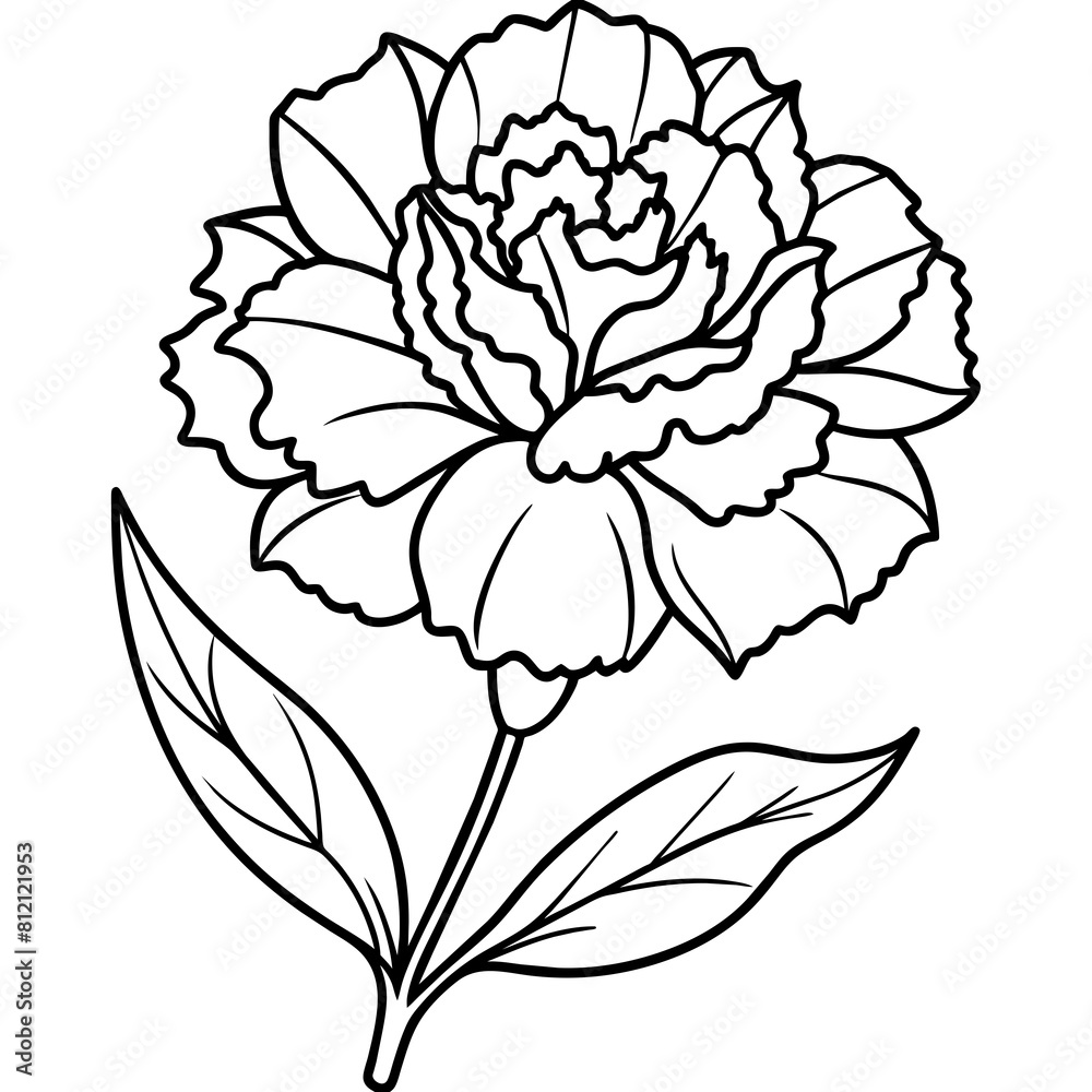 Carnation flower outline coloring book page line art drawing vector ...