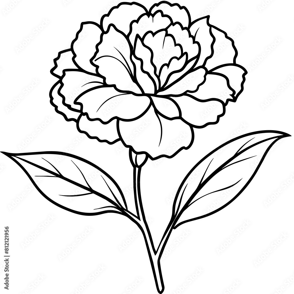 Carnation flower outline coloring book page line art drawing vector ...