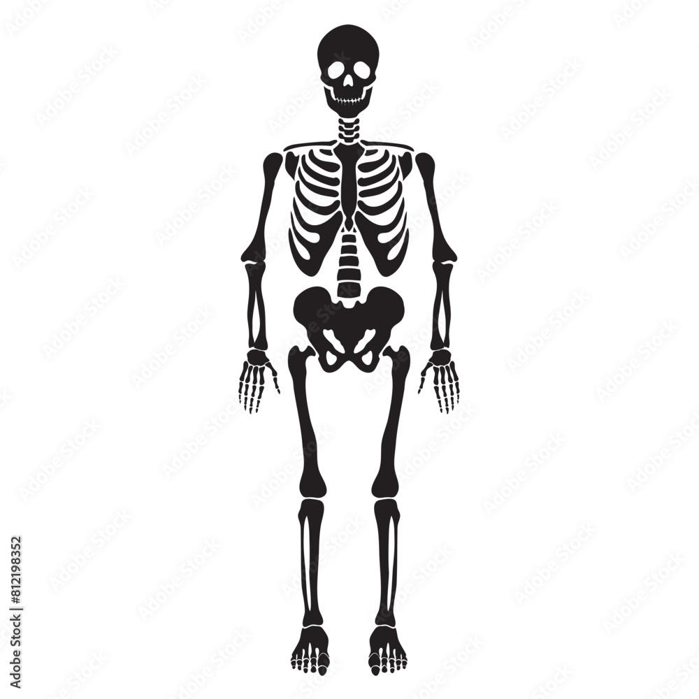 Skeleton SVG, Skeleton parts Svg, Skeleton Png, Skeleton Cut File ...