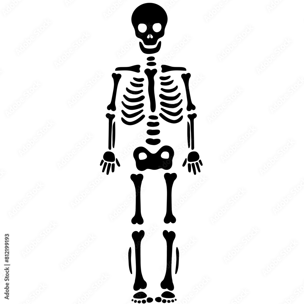 Skeleton SVG, Skeleton parts Svg, Skeleton Png, Skeleton Cut File ...