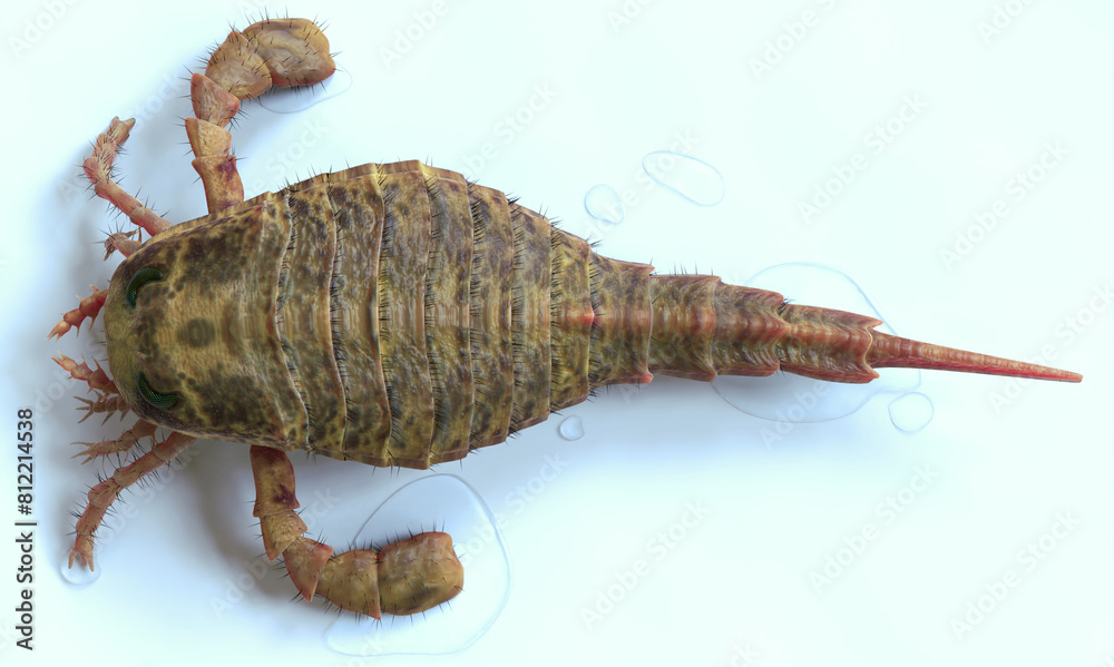 A 3D illustration Eurypterus Remipes up-close. Eurypterus is an extinct ...