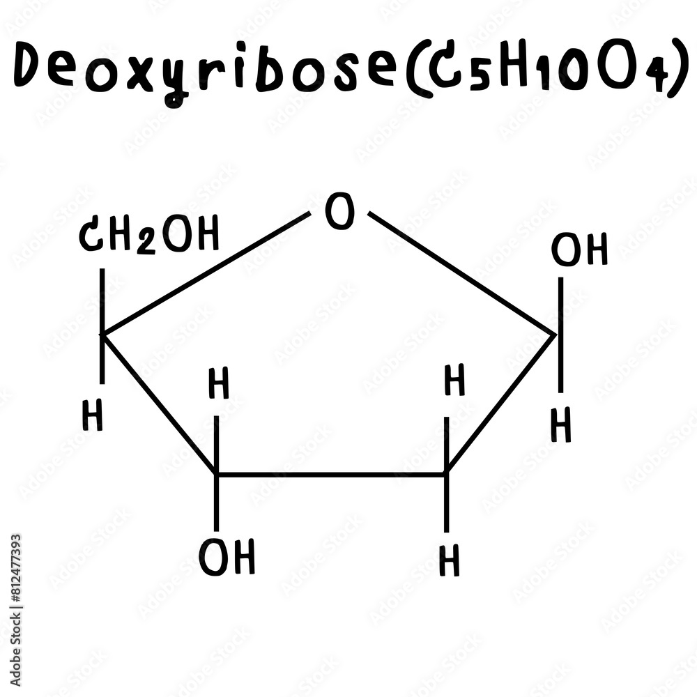 deoxyribose chemical structure illustration Stock Illustration | Adobe Stock