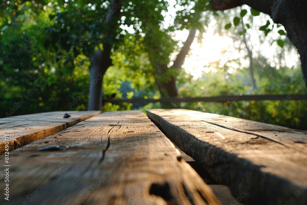 The picture of the wood table in the middle of the forest that ...
