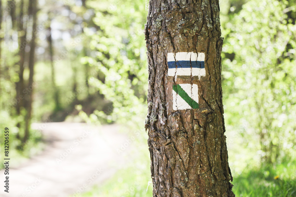 Walking trail background. Blue forest path. Brown tree trunk. Guide ...