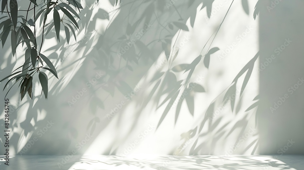 Studio backgroundconcrete with Bamboo Leaves shadow with sunlight ...