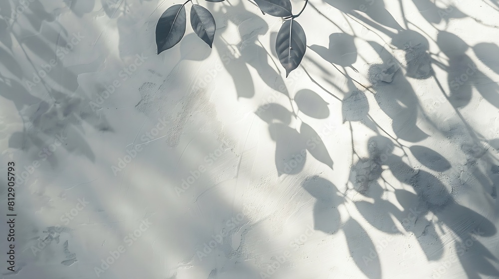 Light and shadow of leaf abstract grey background Natural shadows and ...