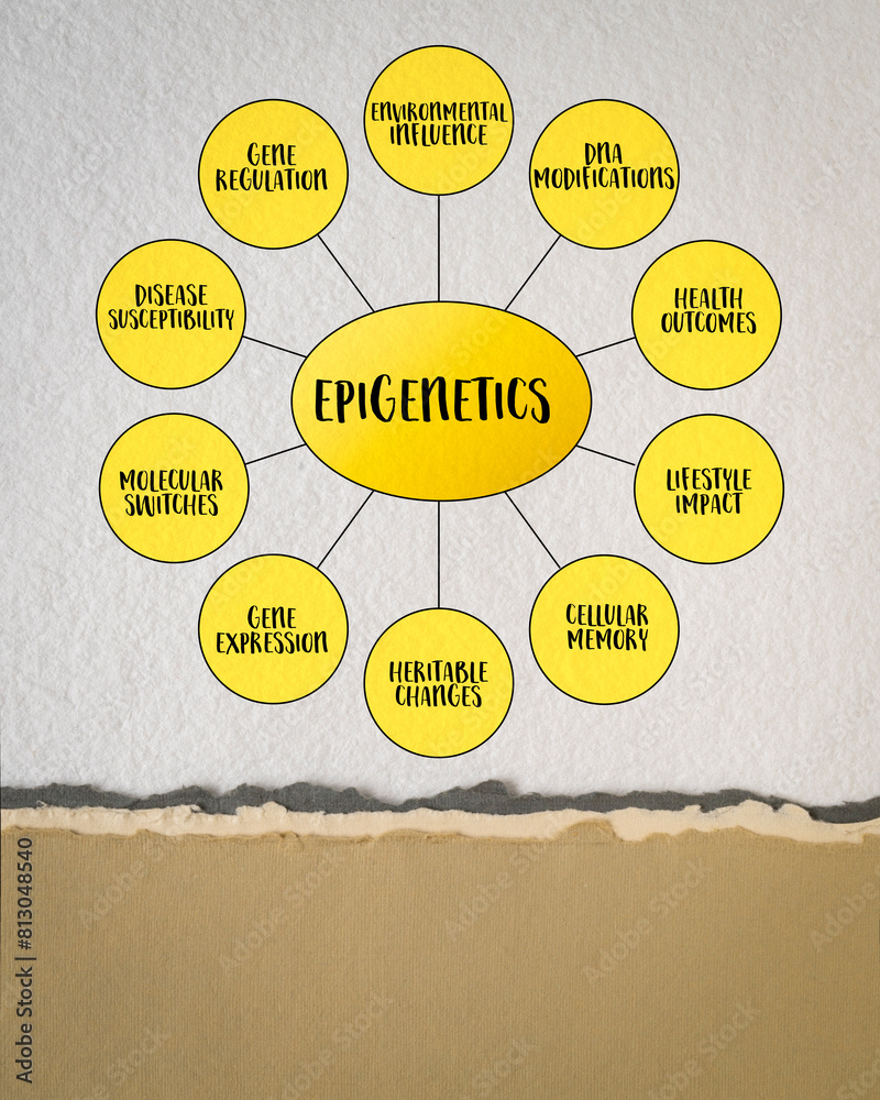 Epigenetics, study of heritable changes in gene expression or cellular ...