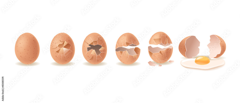 Vector Sequence Showing The Stages Of Brown Egg Cracking Progressively ...