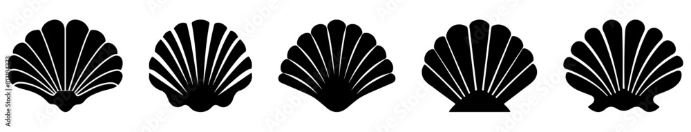 Sea shell icon set. Vector illustration isolated on white background ...