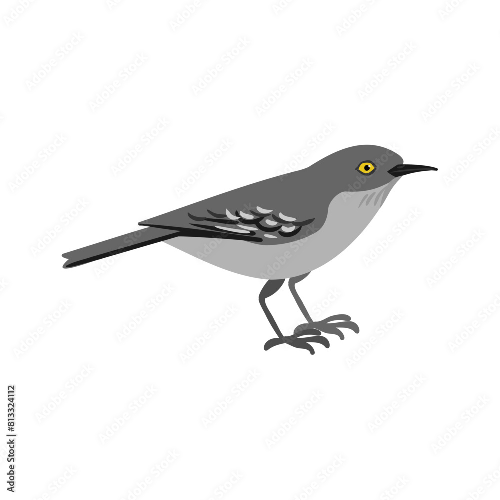 Photo & Art Print vector drawing bird, hand drawn northern mockingbird ...