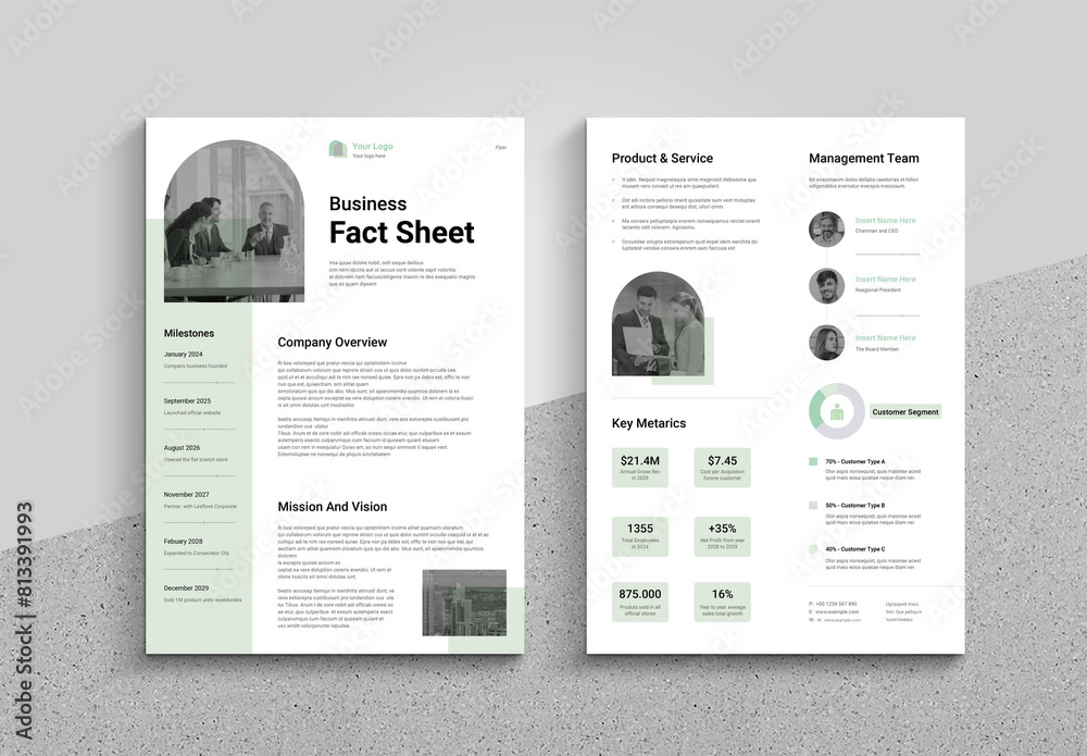 Business Fact Sheet Flyer Stock Template | Adobe Stock