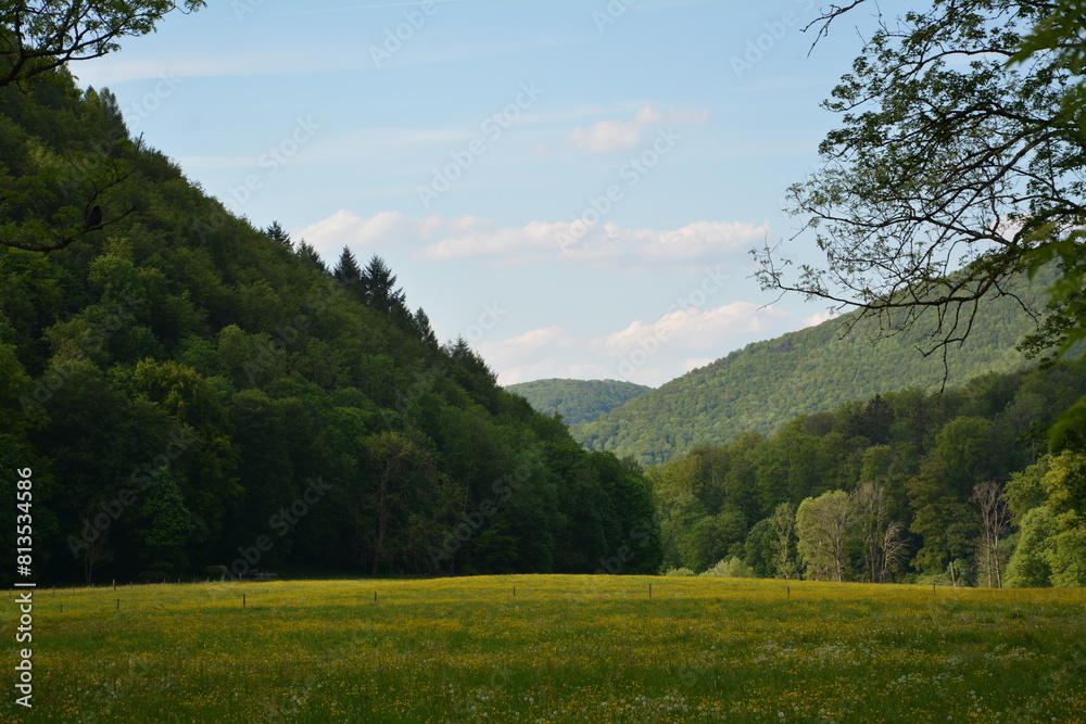 Photographs in the nature of Germany. The Urach Waterfalls are located ...