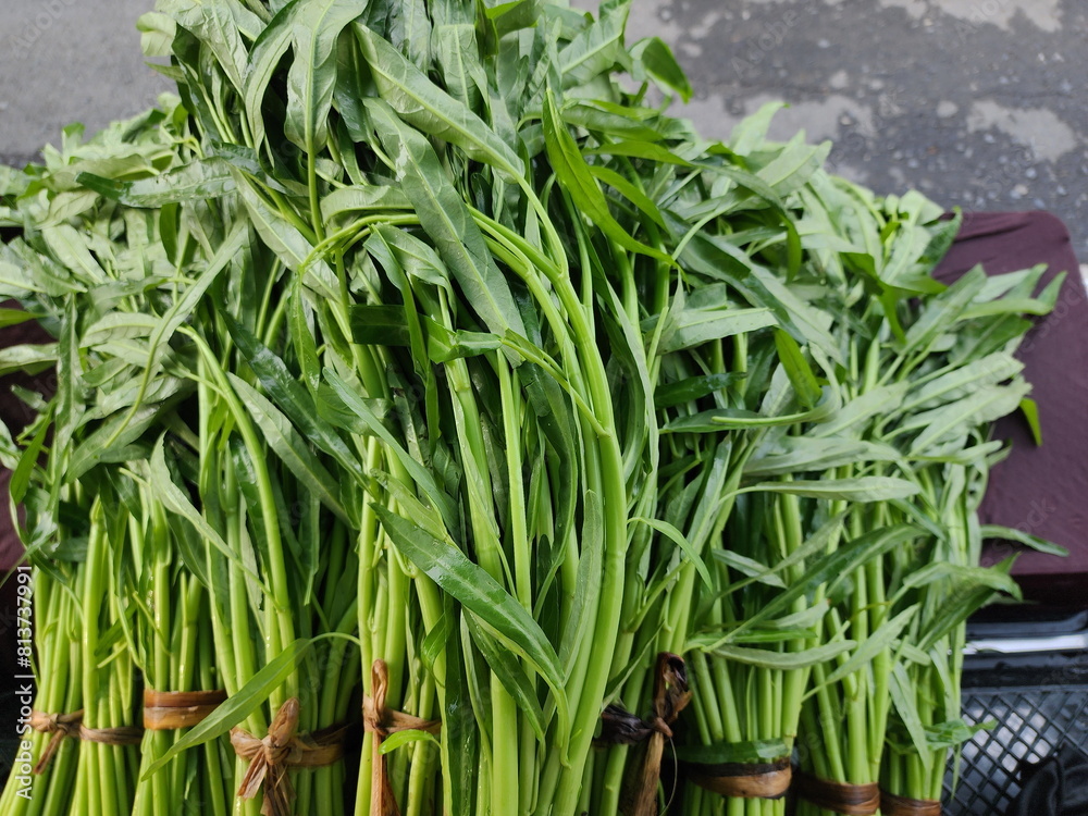 Water convolvulus or kang-kong is considered green leafy vegetable and ...