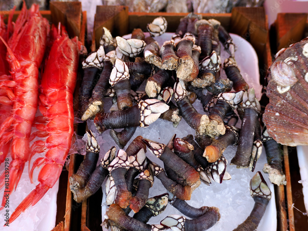 Foto de Percebes Pollicipes polymerus fresh fish seafood at Ortigia ...