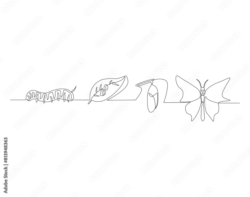 Continuous one line drawing of butterfly life cycle. One line drawing ...