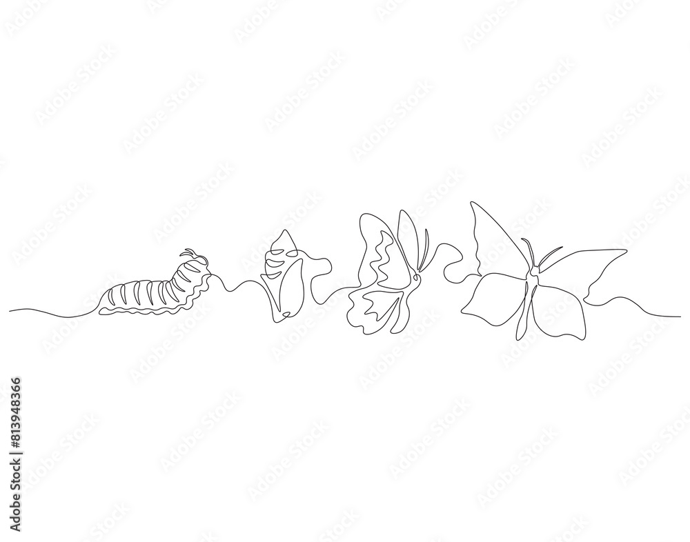 Continuous one line drawing of butterfly life cycle. One line drawing ...