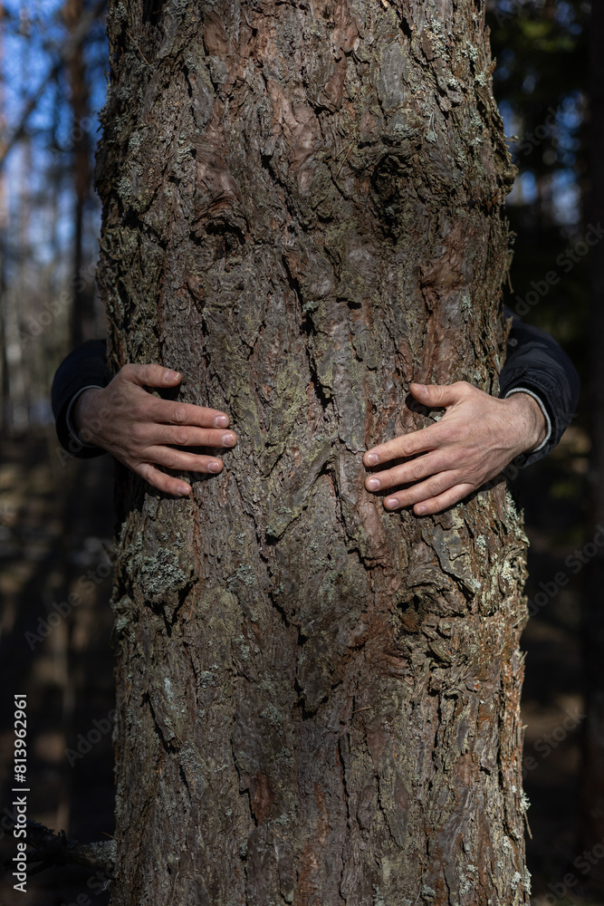 A man hugs a thick tree trunk in the forest as if protecting it. An ...