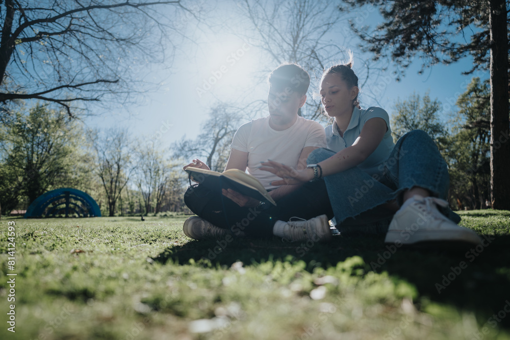 Two high school students sit on the grass, engaged in studying and ...