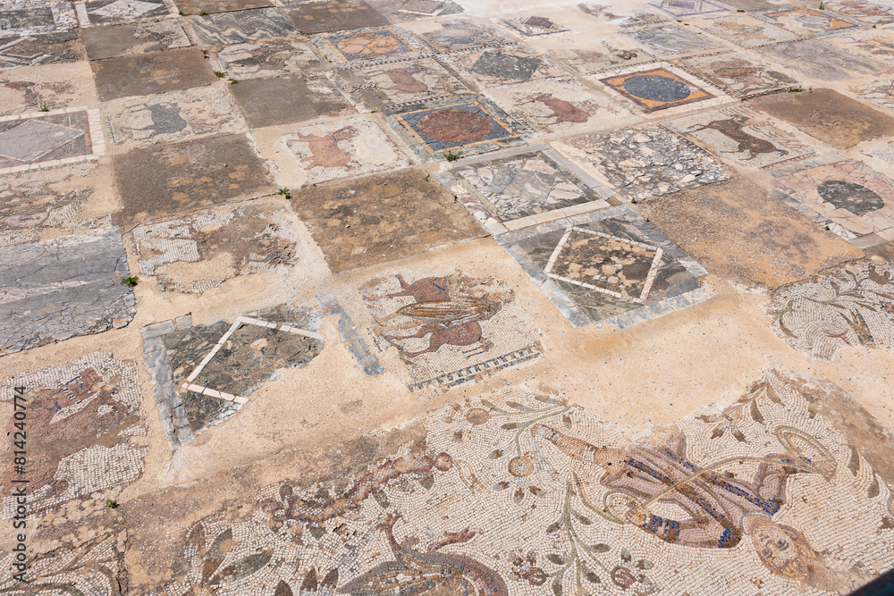 Remains of mosaic floors of ancient Roman villas with artistic ...