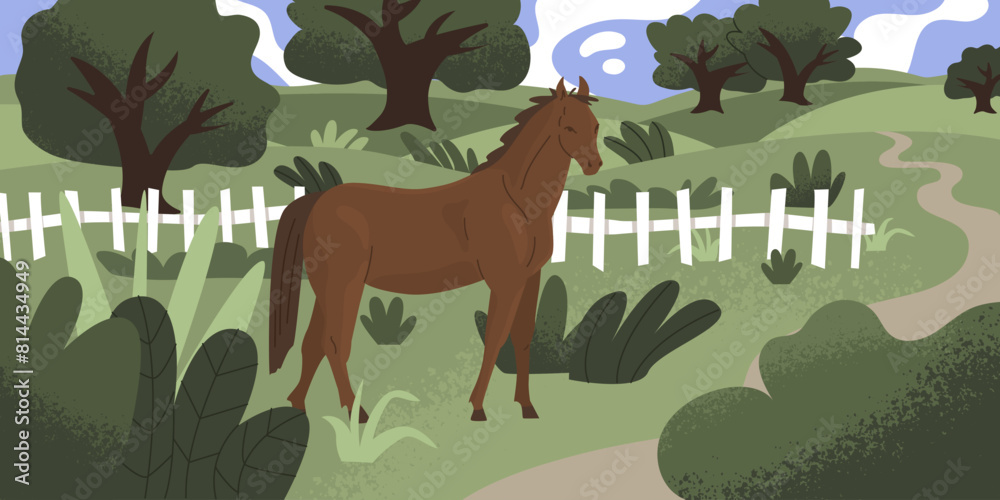 Horizontal landscape with a horse grazing. Country life on the farm ...