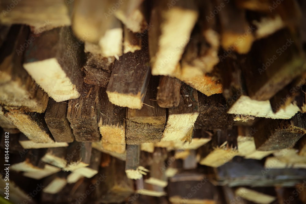 Chopped wood logs stacked in forest woodlands renewable green biomass ...