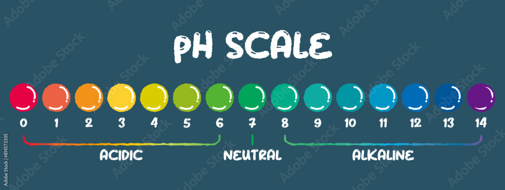 pH value scale chart for acid-alkaline solution. PH scale science ...
