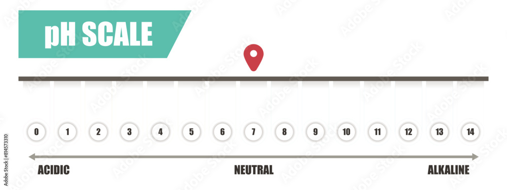 pH value scale chart for acid-alkaline solution. PH scale science ...
