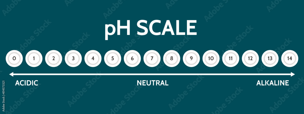 pH value scale chart for acid-alkaline solution. PH scale science ...