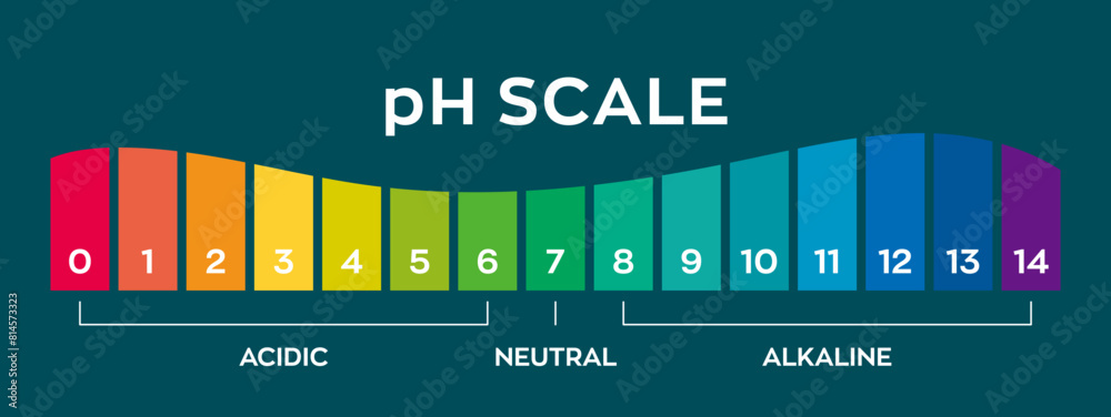 pH value scale chart for acid-alkaline solution. PH scale science ...