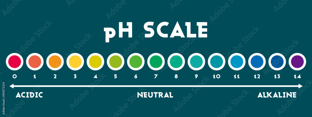 pH value scale chart for acid-alkaline solution. PH scale science ...