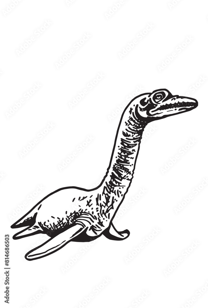 Graphical muraenosaurus isolated on white background, vector ...