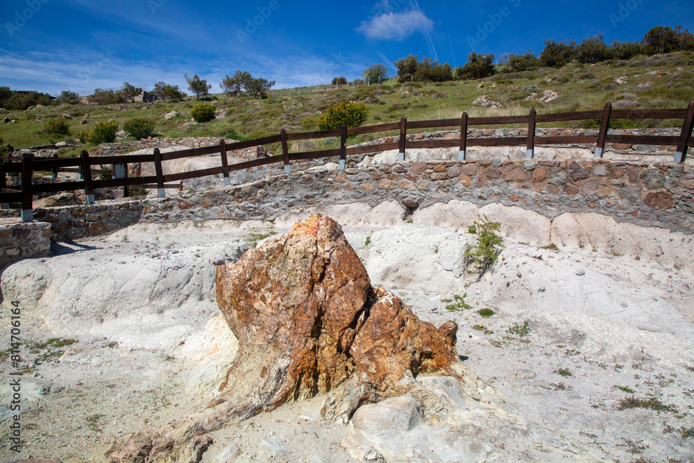 A fossilized tree trunk from the UNESCO Geopark "Petrified Forest of ...