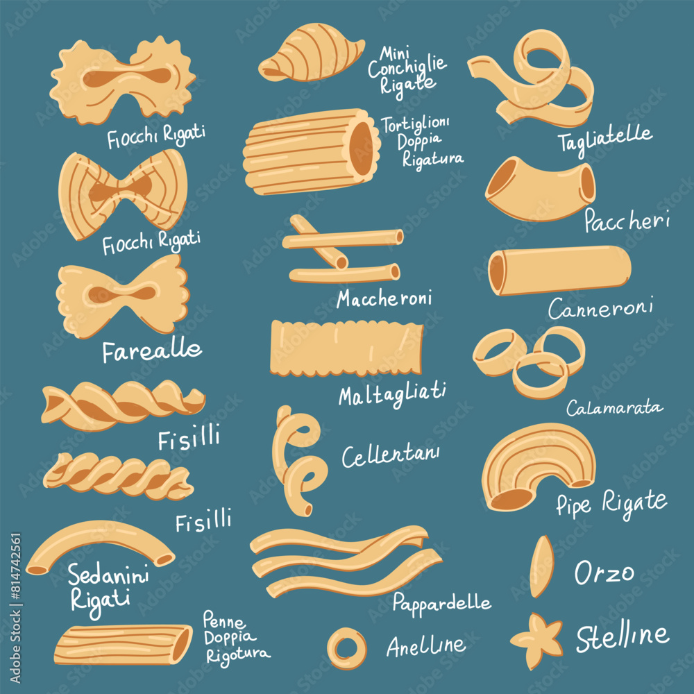 Set with various shapes of pasta with names. Collection of vector ...