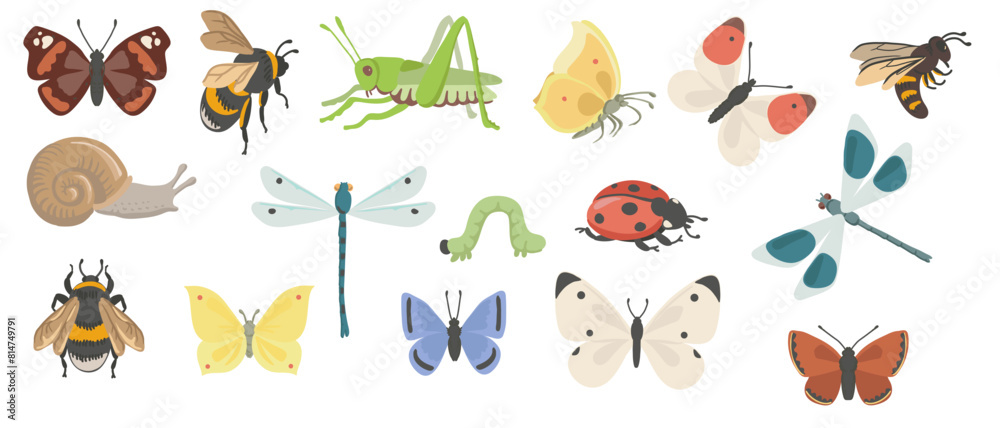 vector drawing set of insects, butterflies, dragonflies, bee ...