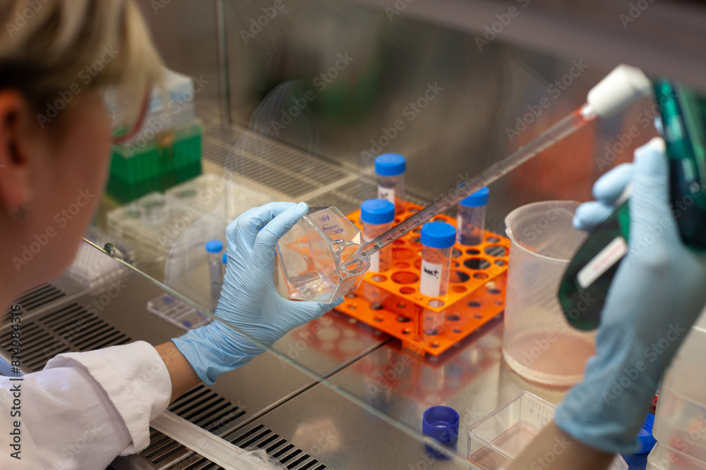 scientific research in laboratory, hands closeup with equipment Stock ...