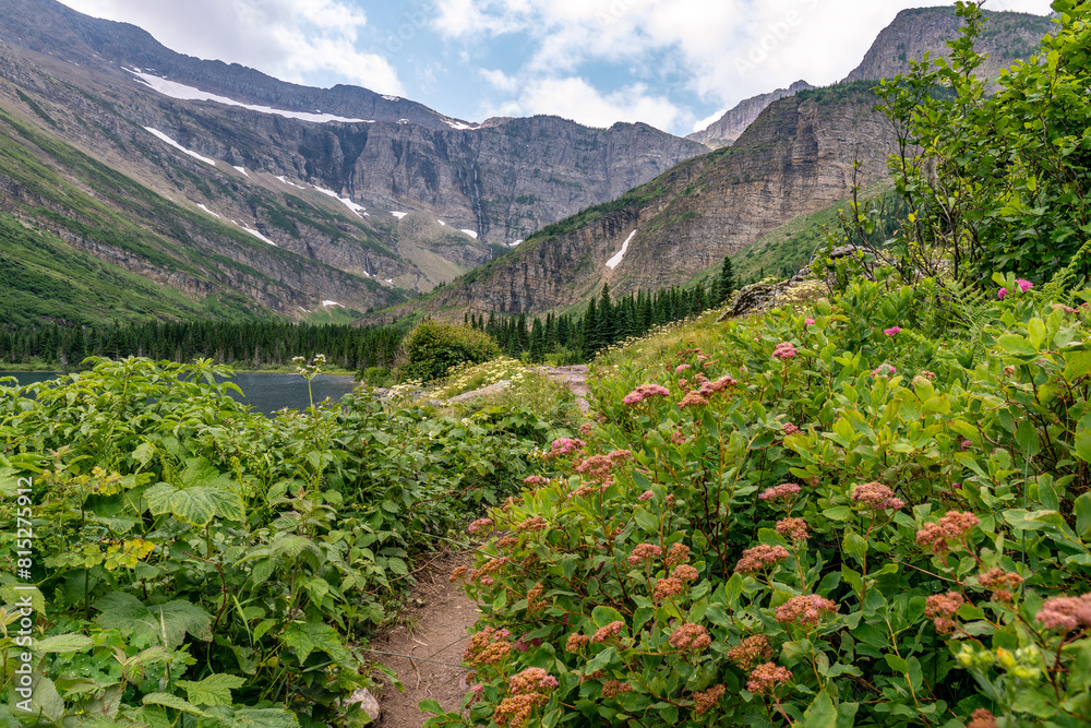 Subalpine spiraea and Bullhead Lake along the trail to Swiftcurrent ...