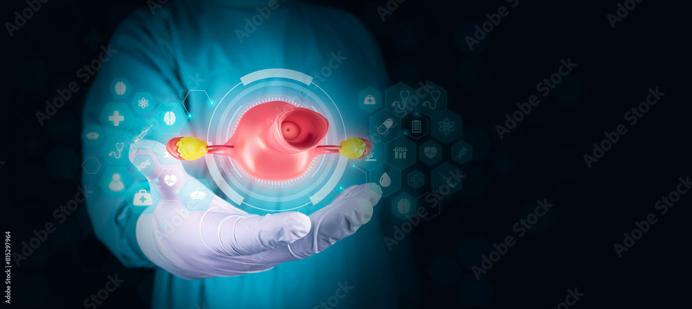 Reproductive system. Interior of the cervix in good health. Female ...