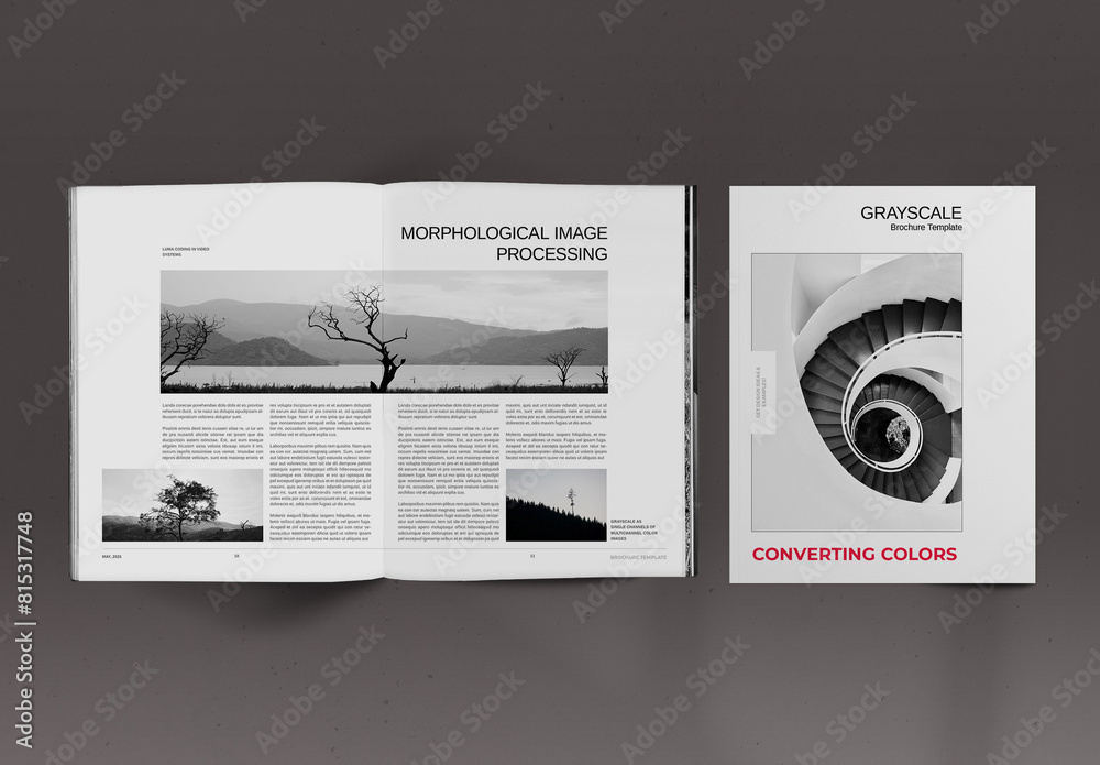 Grayscale Brochure Layout Stock Template | Adobe Stock