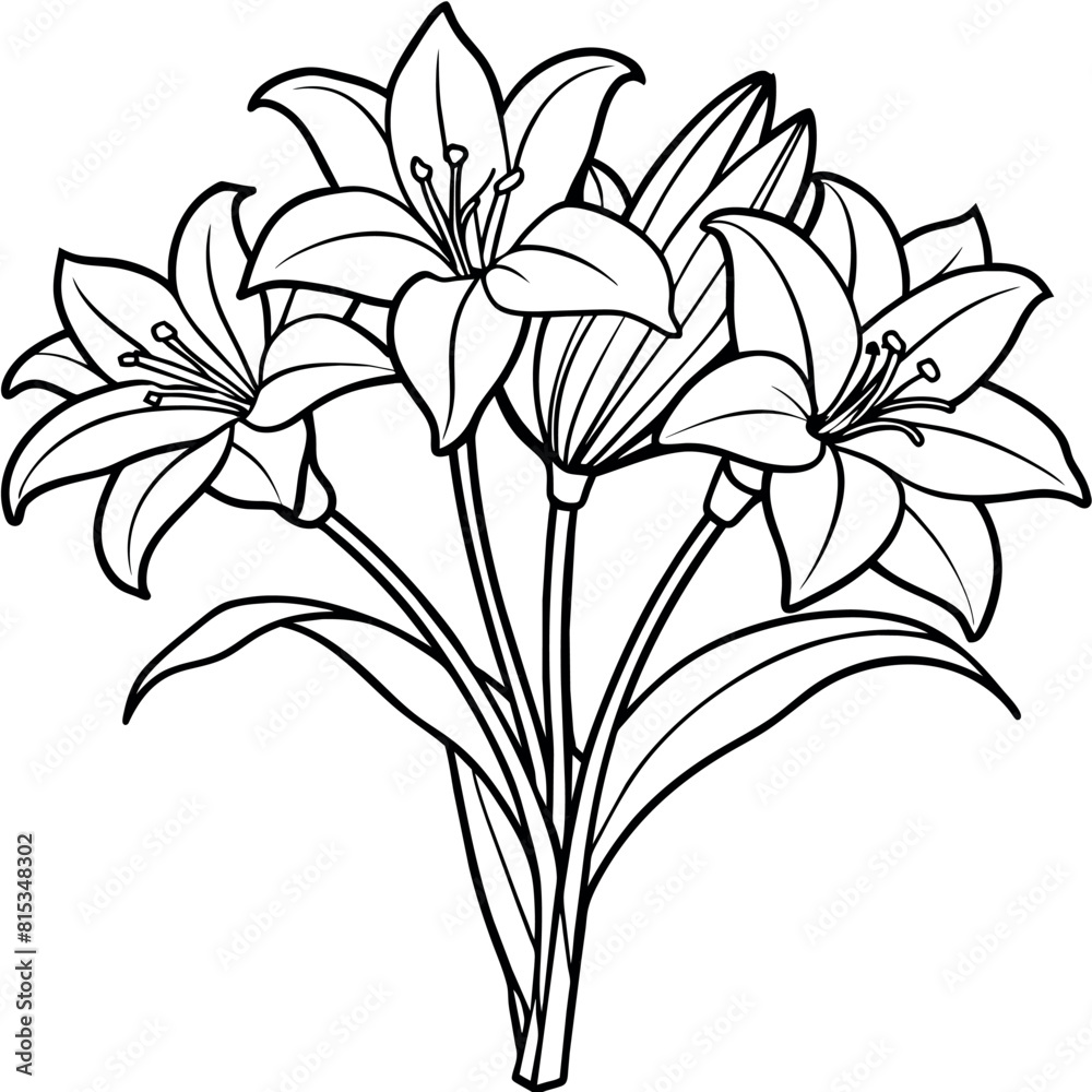 Amaryllis Flower outline illustration coloring book page design ...